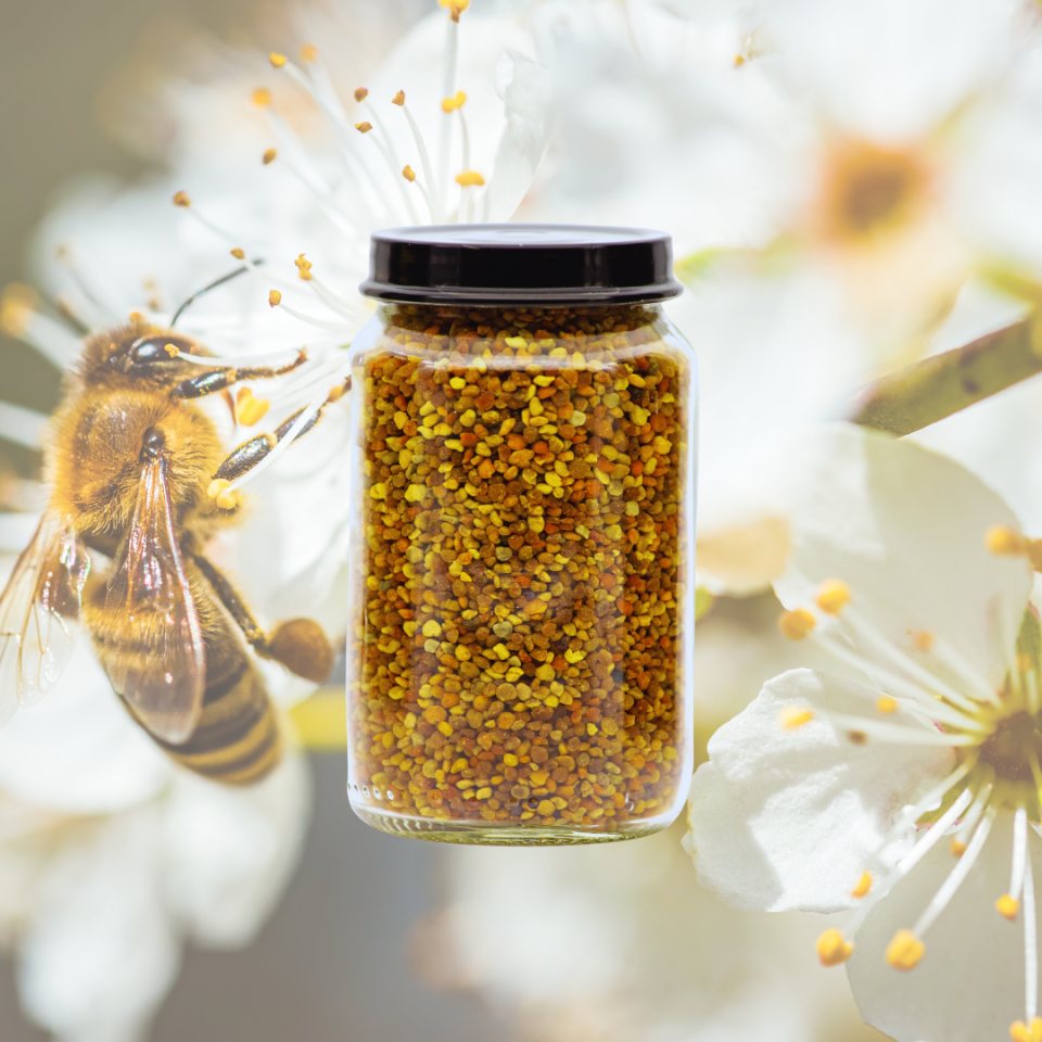 Benvenuto a Edupro Classroom